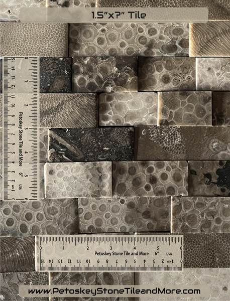 Petoskey Stone Tile